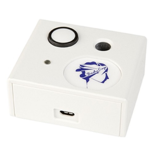 Core temperature monitoring by capsule