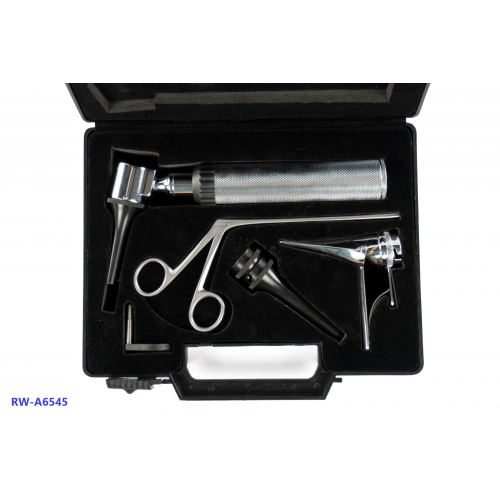 Otoscope for rodent