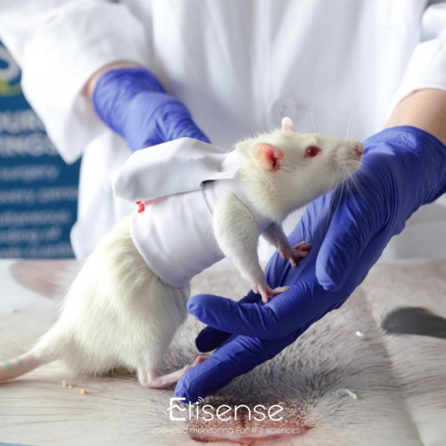 DECRO wearable telemetry system for Rat