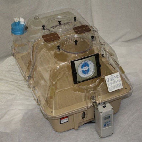 ANESTHESIA / INTENSIVE CARE